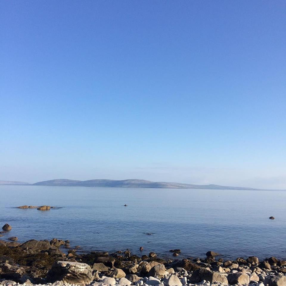 June – Fiona Concannon Artist