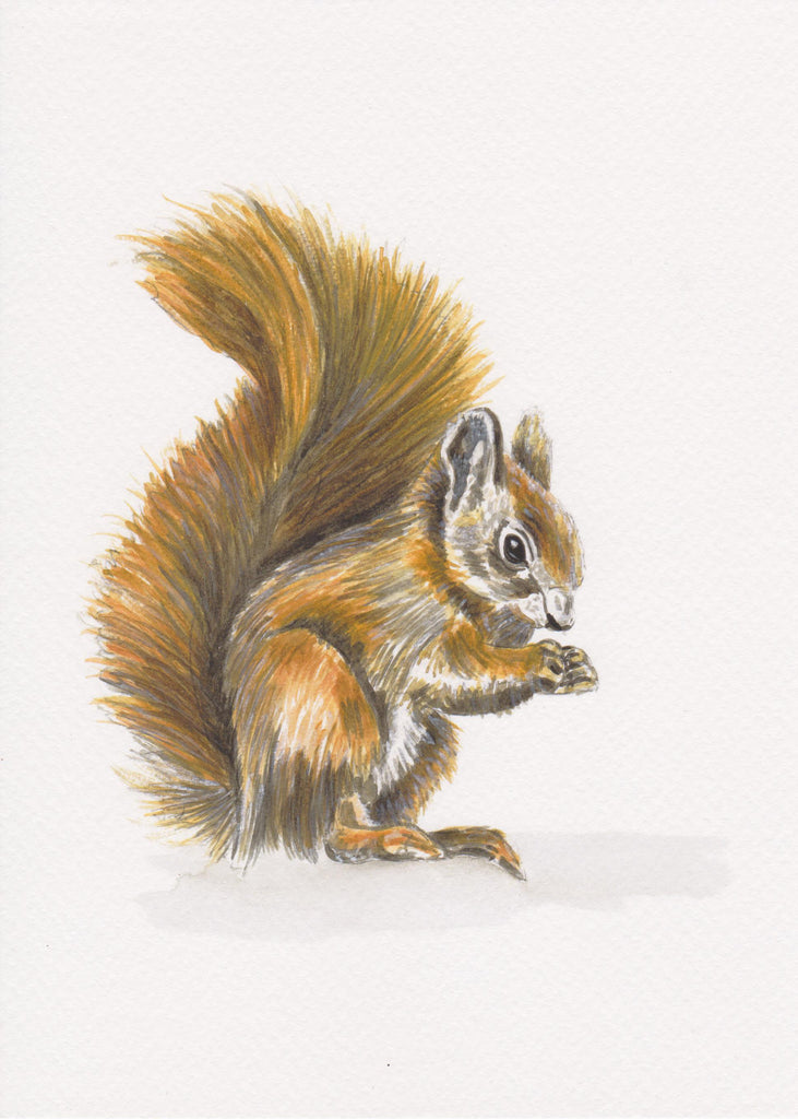 Áine – Fiona Concannon Artist