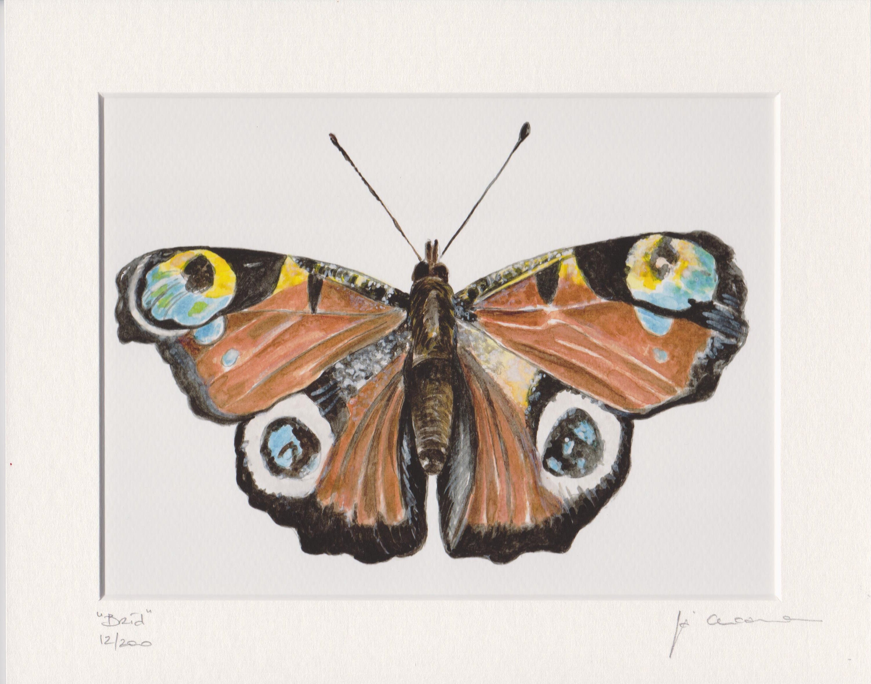 Bríd – Fiona Concannon Artist