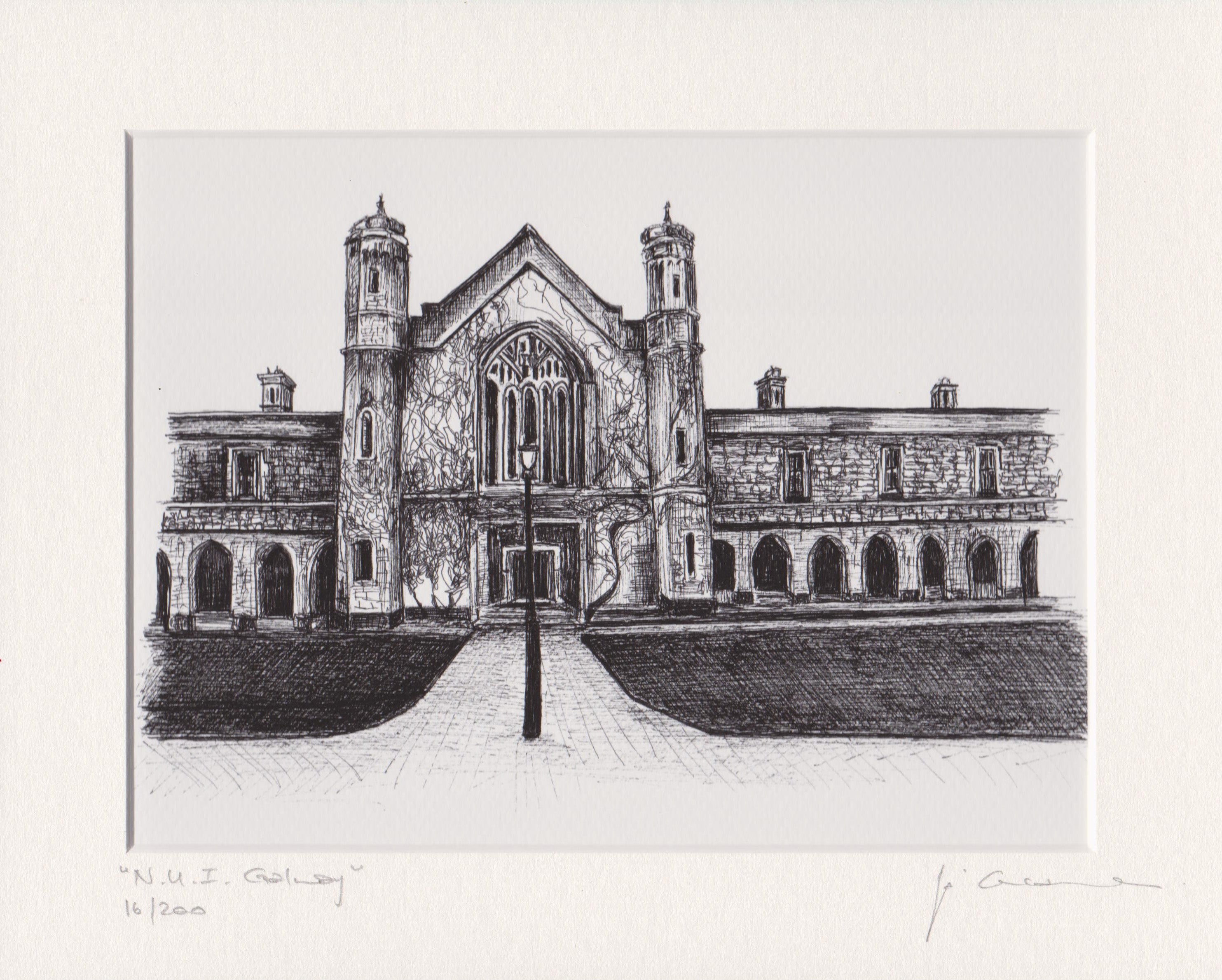 NUI Galway – Fiona Concannon Artist
