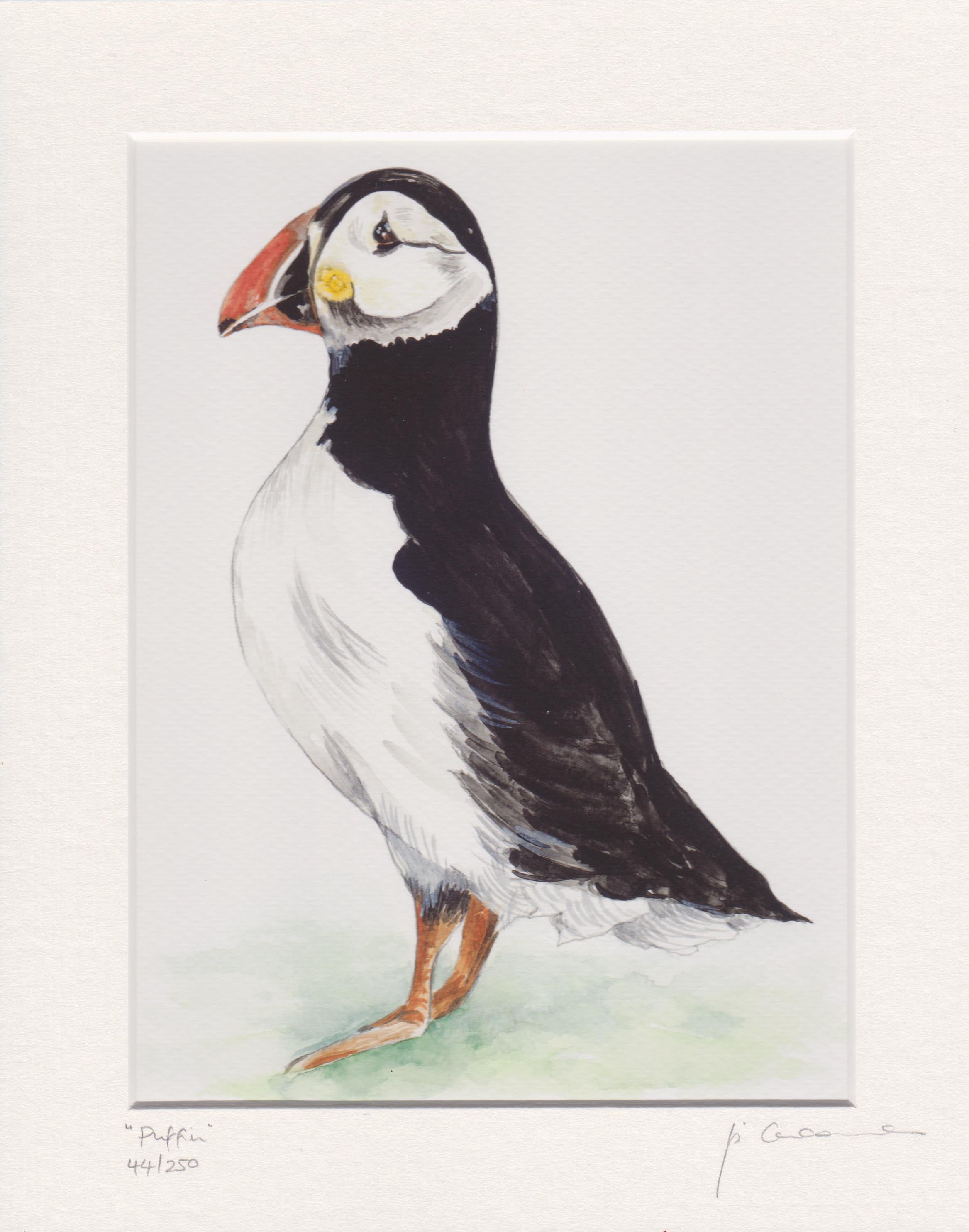 Puffin – Fiona Concannon Artist